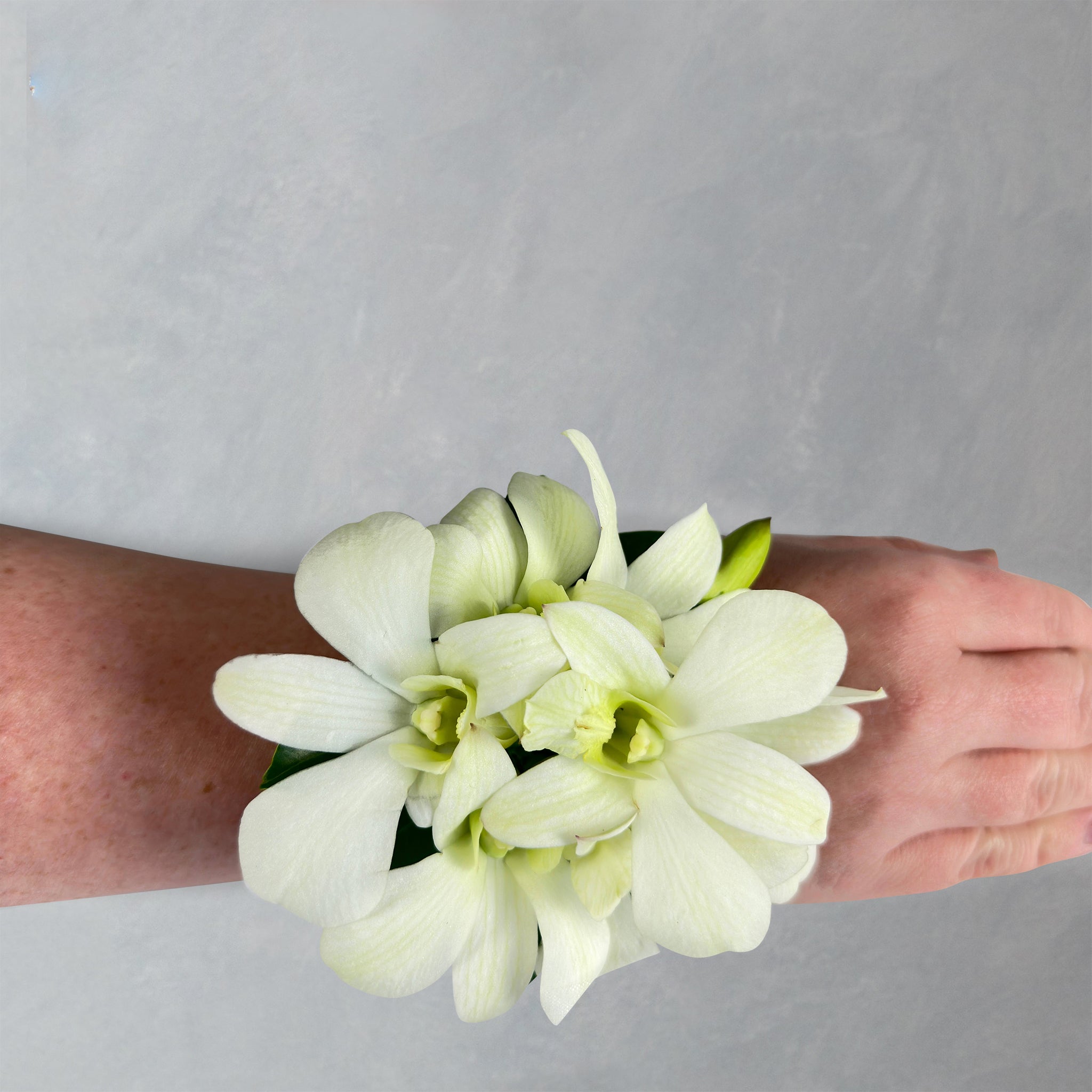 Orchid Wrist Corsage – Fresh Fresh Flowers